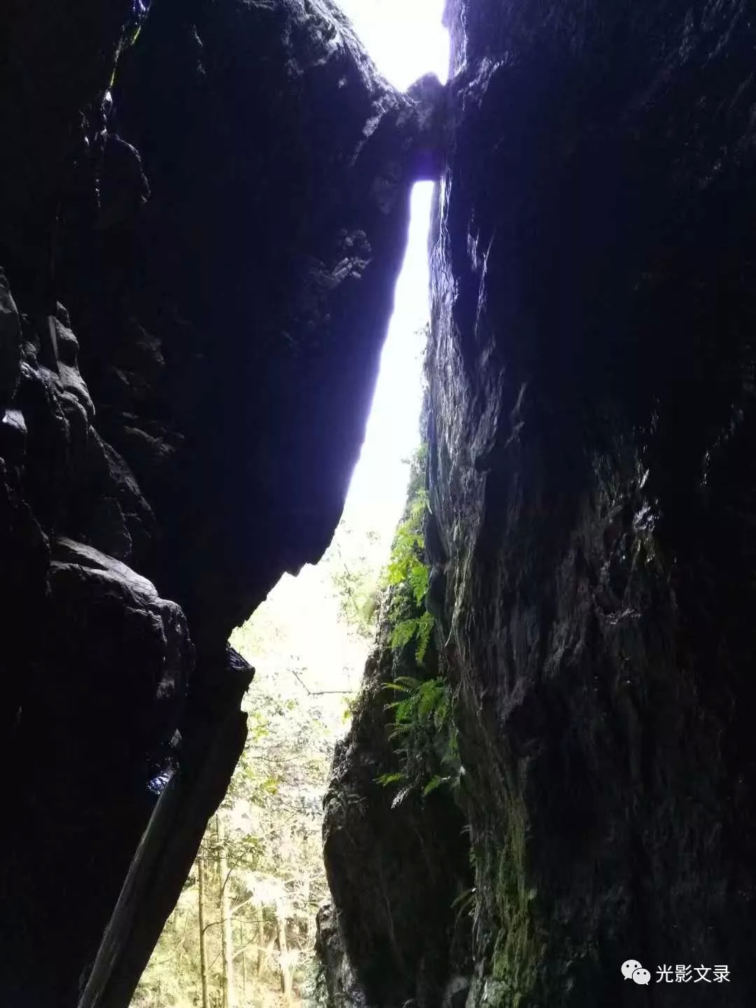 散文丨在龙泉山探幽索胜 专栏 新湖南