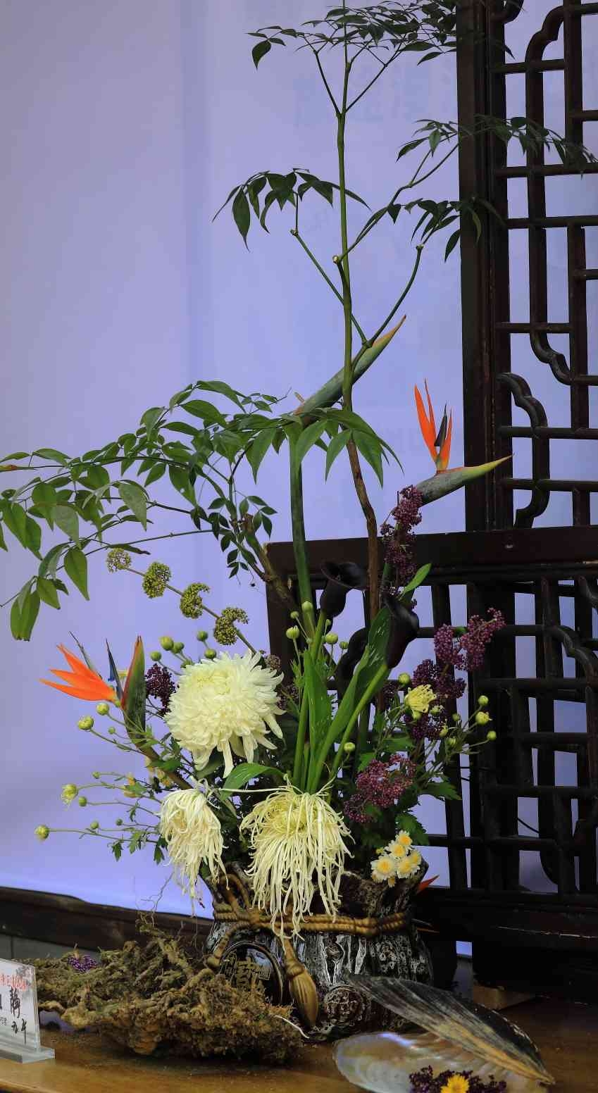 岳麓山顶盛开的菊花 - 锦绣湖南 - 新湖南